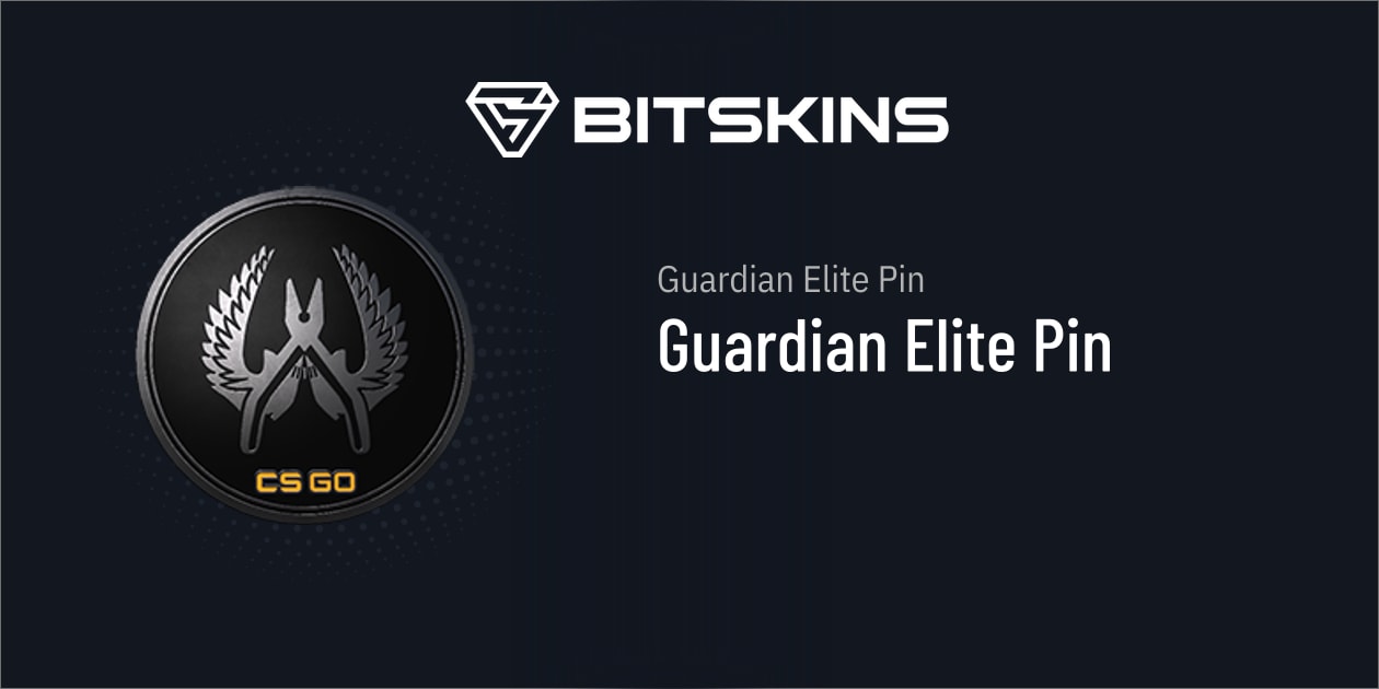 Guardian Elite Pin - CS2 Item | Buy Now on BitSkins