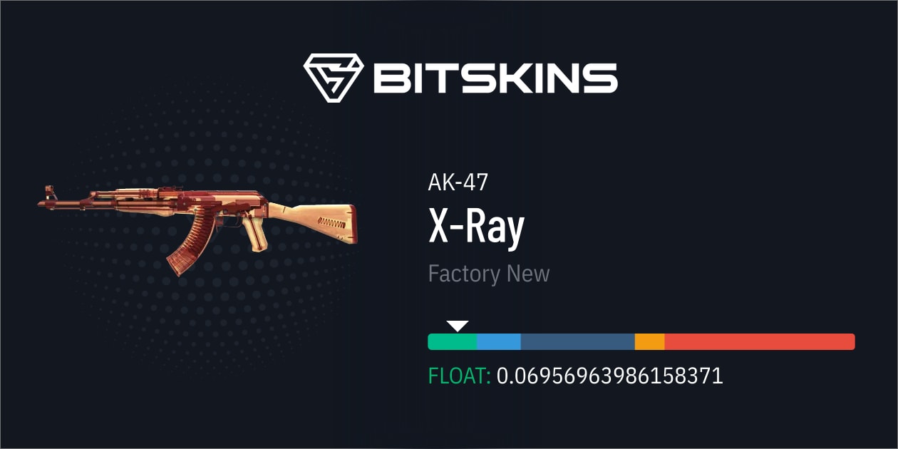AK-47 | X-Ray (Factory New) - CS2 皮肤 | 查找并交易您想要的 CS2 物品