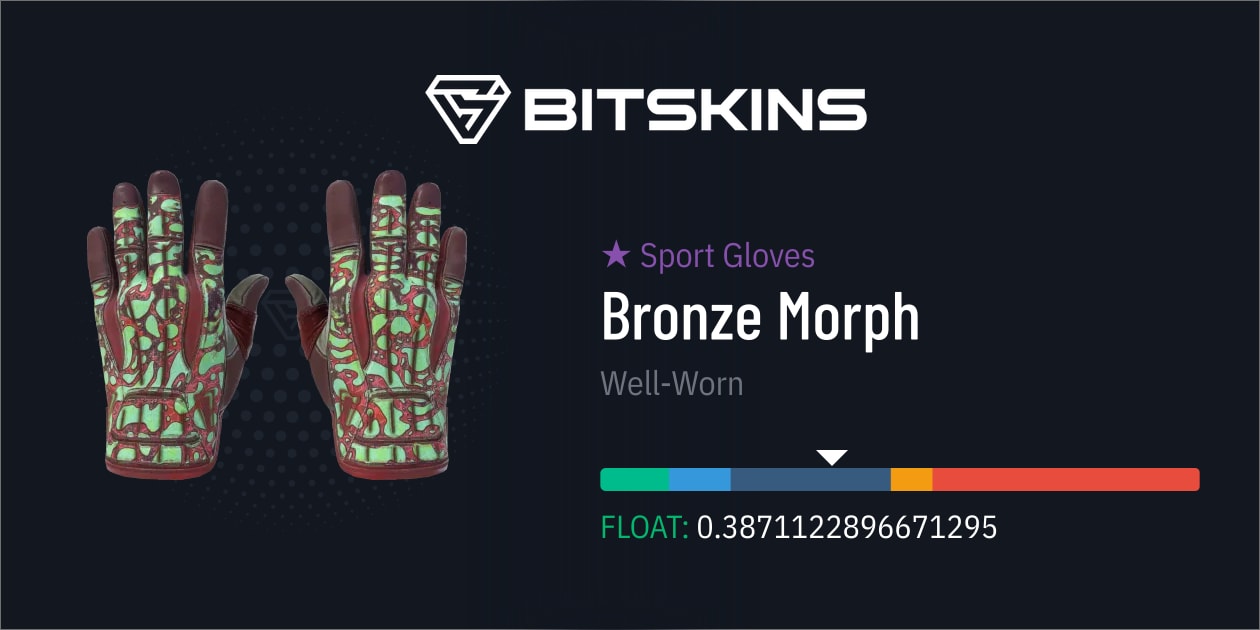 Sport Gloves | Bronze Morph (Well-Worn) - CS2 Skins | Find and Trade Your Desired CS2 Items