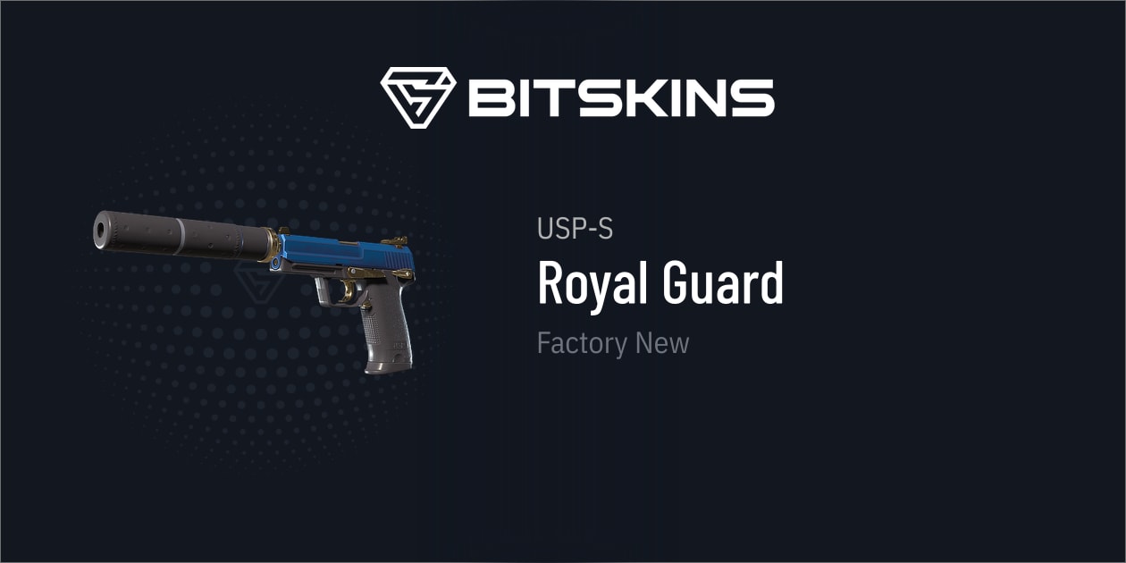 USP-S | Royal Guard (Factory New) - CS2 Item | Buy Now on BitSkins