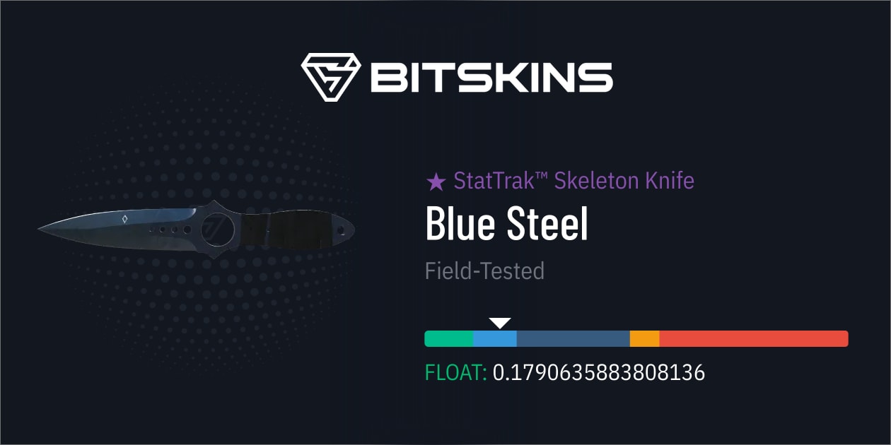 StatTrak™ Skeleton Knife | Blue Steel (Field-Tested) - CS2 Item | Buy ...