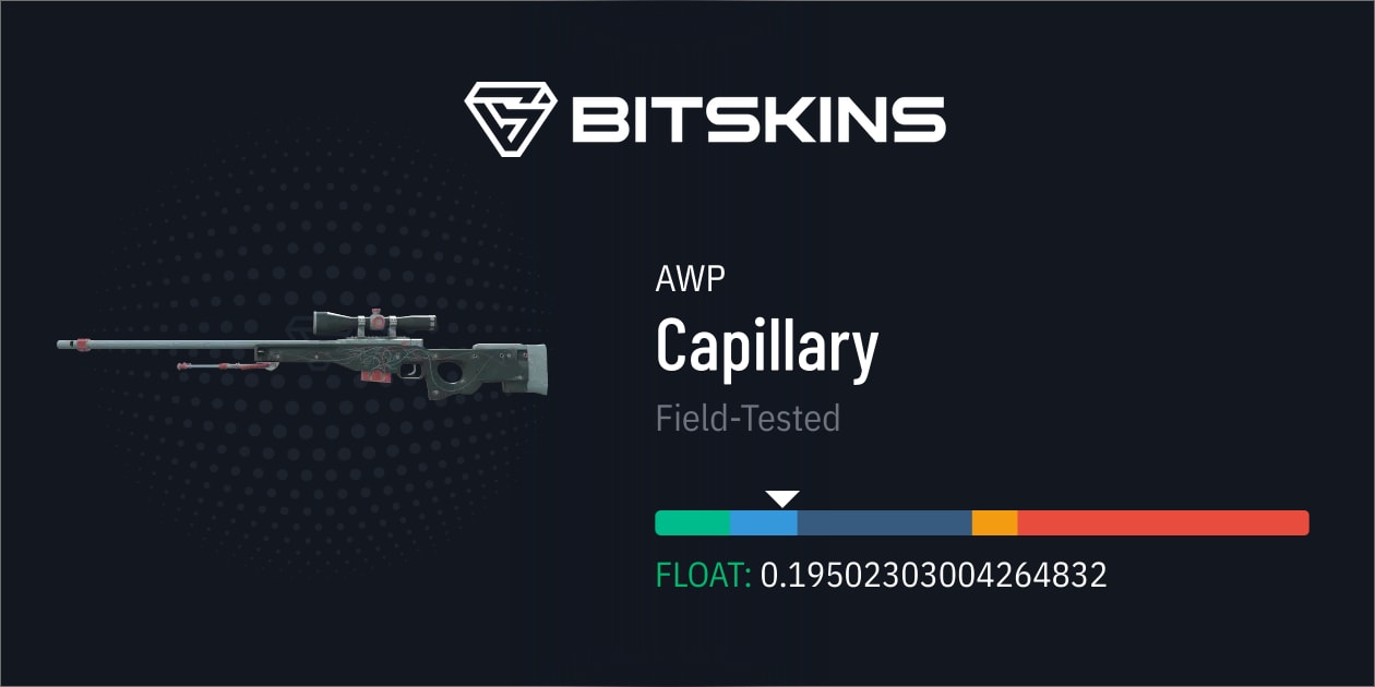 AWP | Capillary (Field-Tested) - CS2 Скины | Найдите и обменяйте ...
