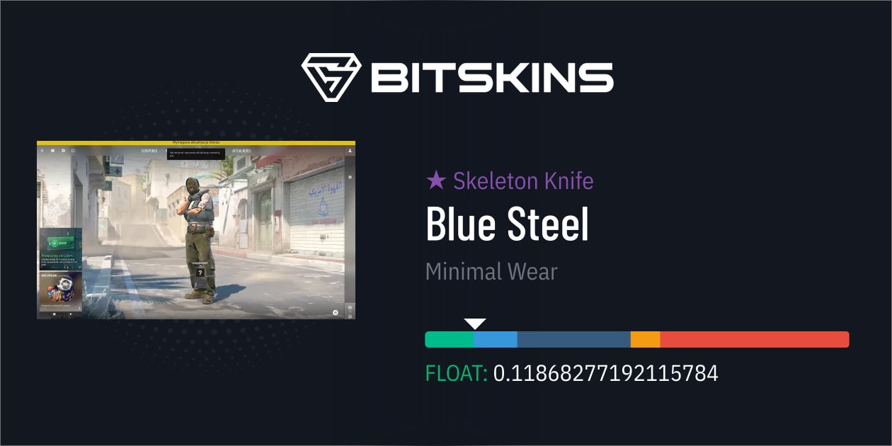 Skeleton Knife | Blue Steel (Minimal Wear) - CS2 Item | Buy Now on BitSkins